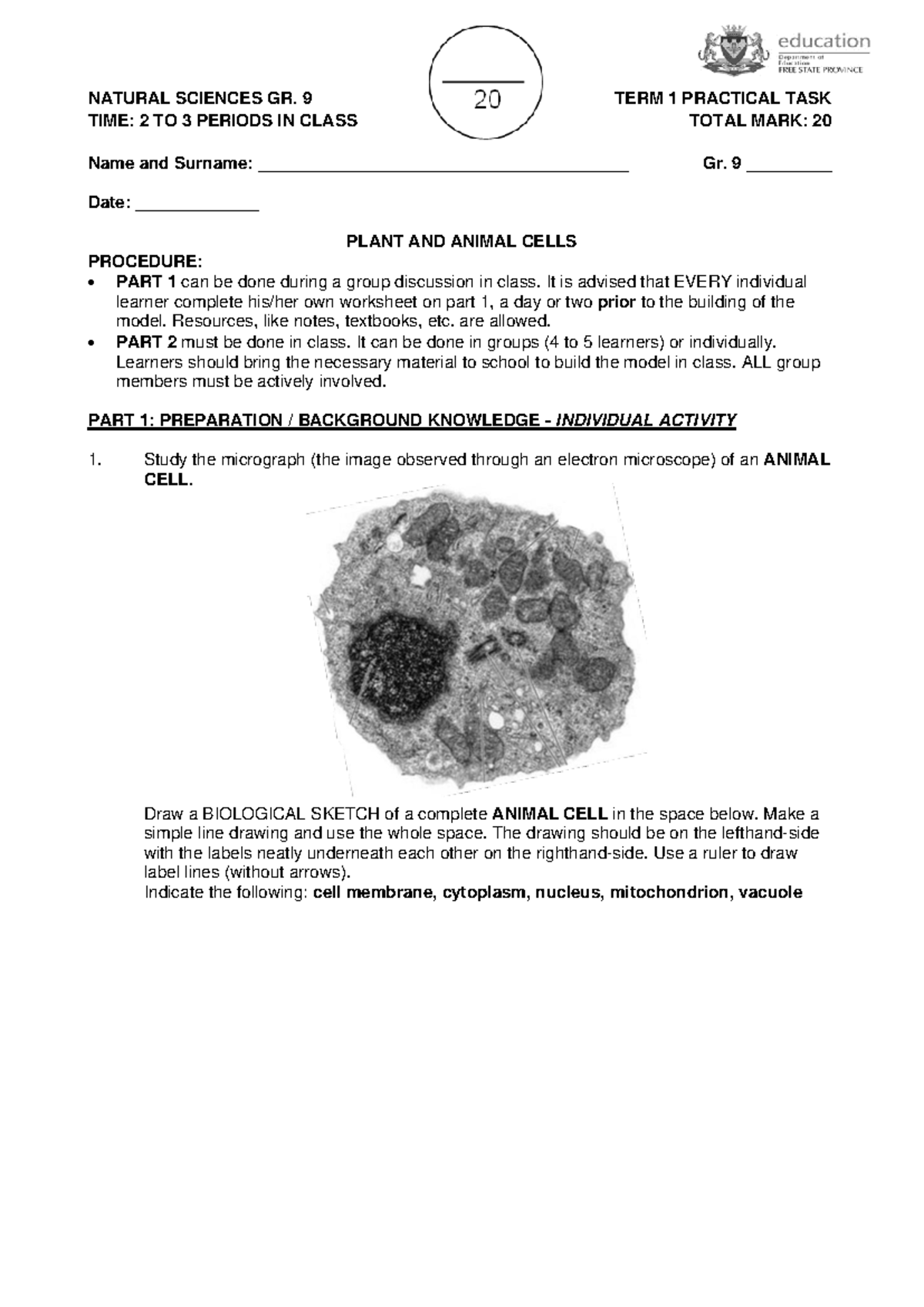 NS Gr9 Term 1 Practical Task 2023 1674715380 - NATURAL SCIENCES GR. 9 ...