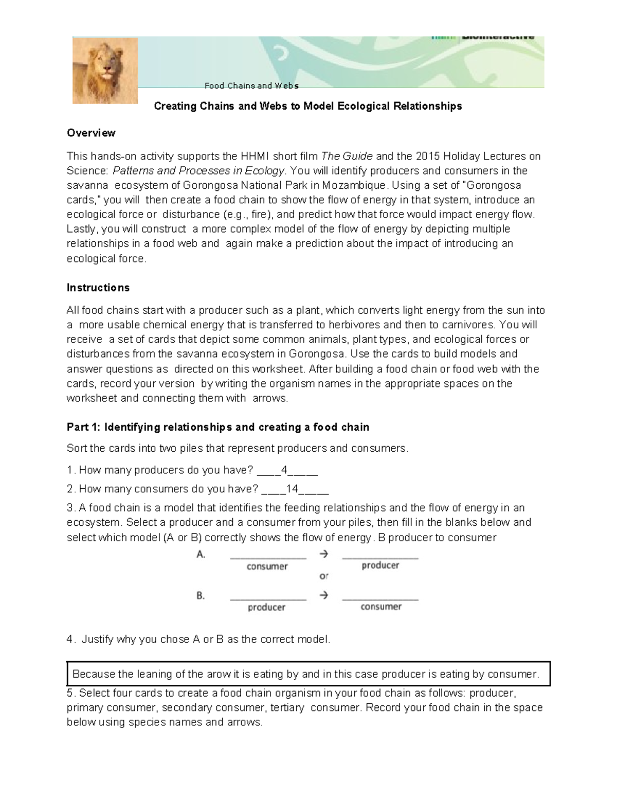 Mahboba Kanan - AP Gorongosa Food Chains (Bio Interactive site ...