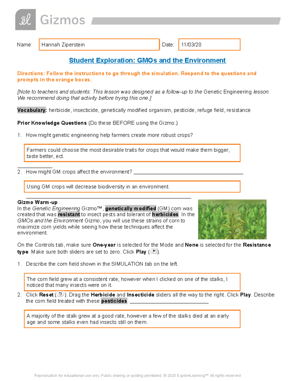 - Gizmo GMOs - 2539656 - Name: Hannah Ziperstein Date: 11/03/ Student ...