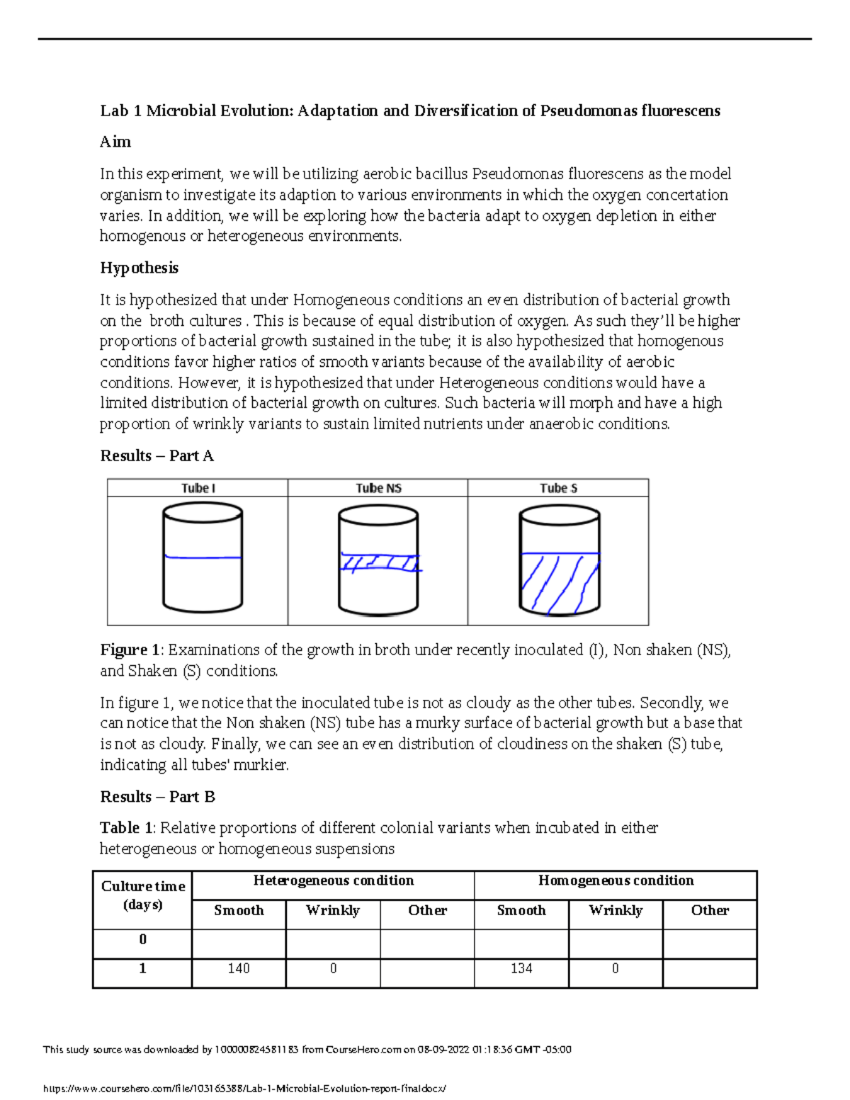 Lab 1 Microbial Evolution report final - Lab 1 Microbial Evolution ...