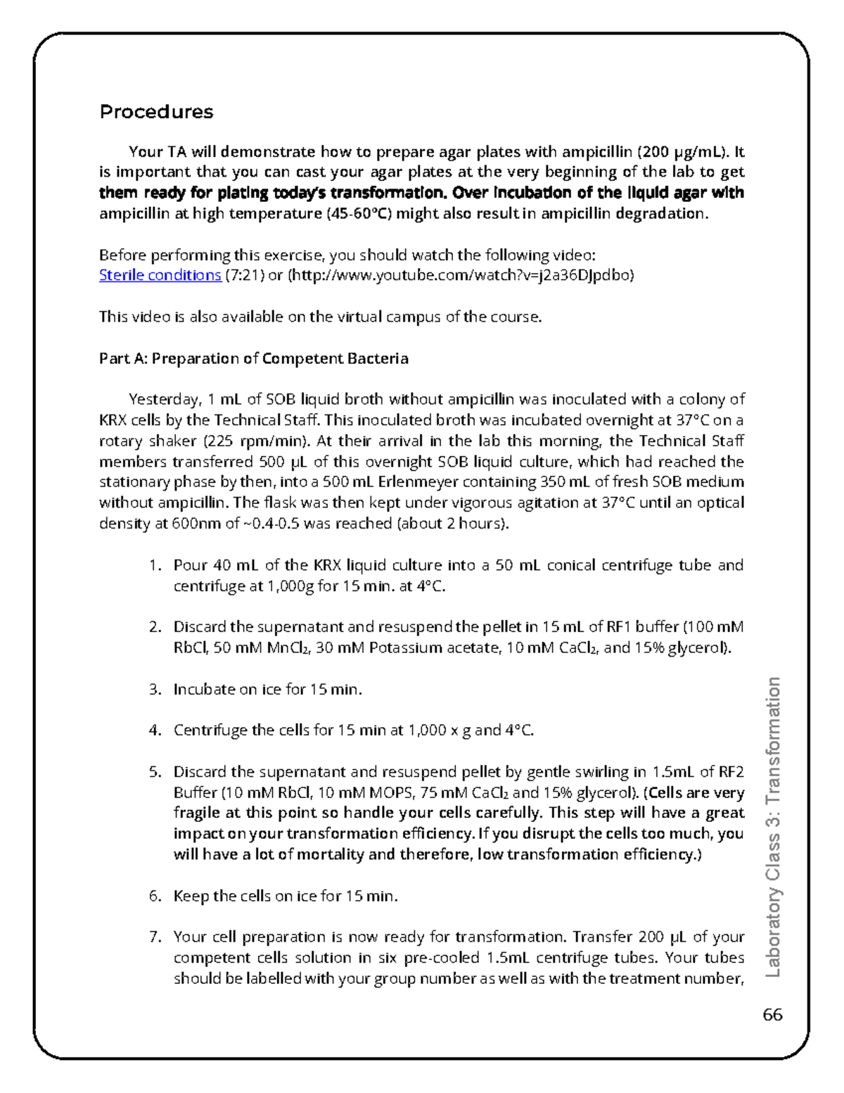 Lab 3 practice steps - Laboratory Class 3: Transformation Procedures ...