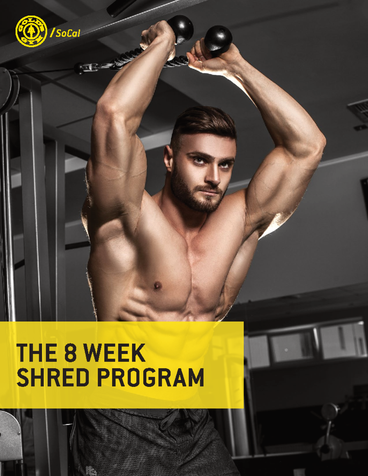 8Week Shred - Workout - THE 8 WEEK SHRED PROGRAM TABLE OF CONTENTS How ...