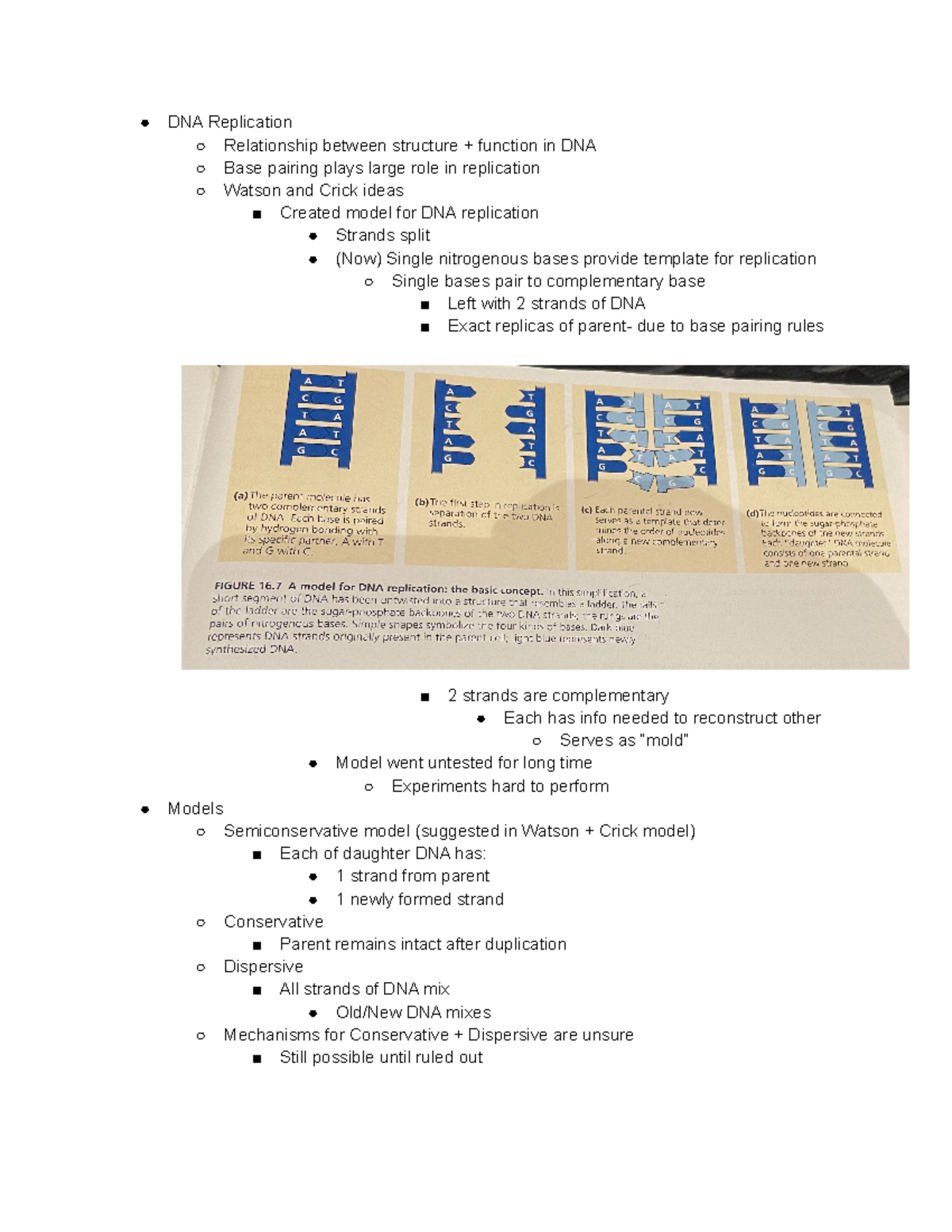 Dna Replication - Notes. - DNA Replication Relationship between ...