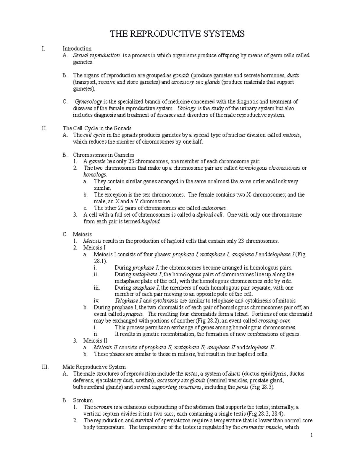 CH 28 The Reproductive Systems - THE REPRODUCTIVE SYSTEMS I ...