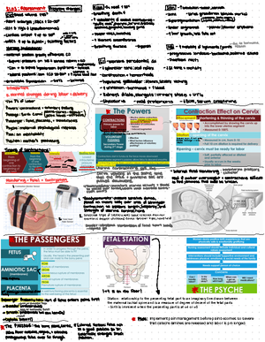 Handouts - Intrapartum Emergencies - Chapter 27 - CHAPTER 27 The Woman ...