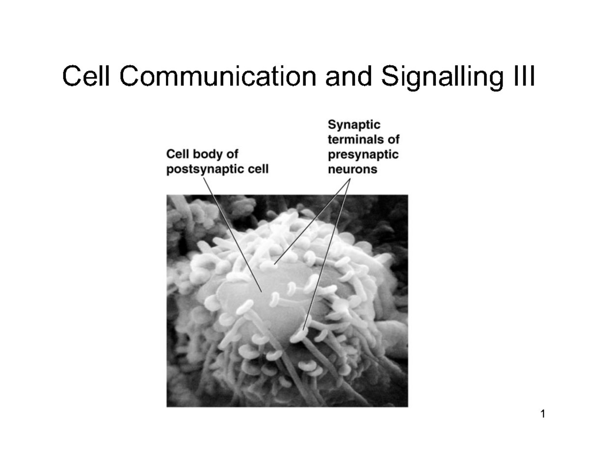 Lecture 19 Cell Communication III 2022 - Cell Communication and ...