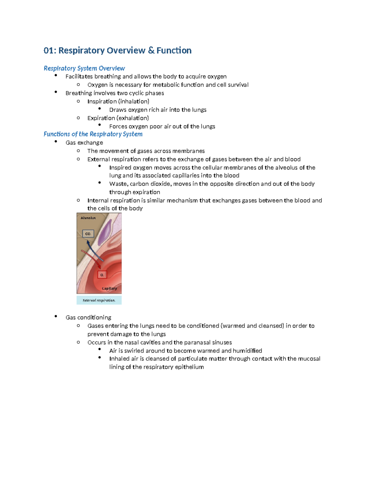 Module 9-12 Anat 100 Notes - 01: Respiratory Overview & Function ...