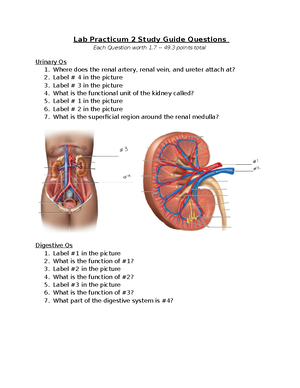 MCCG150 - Lecture 2 - Medical Surgical Root Operations Part 1 - cataloging system used to code ...
