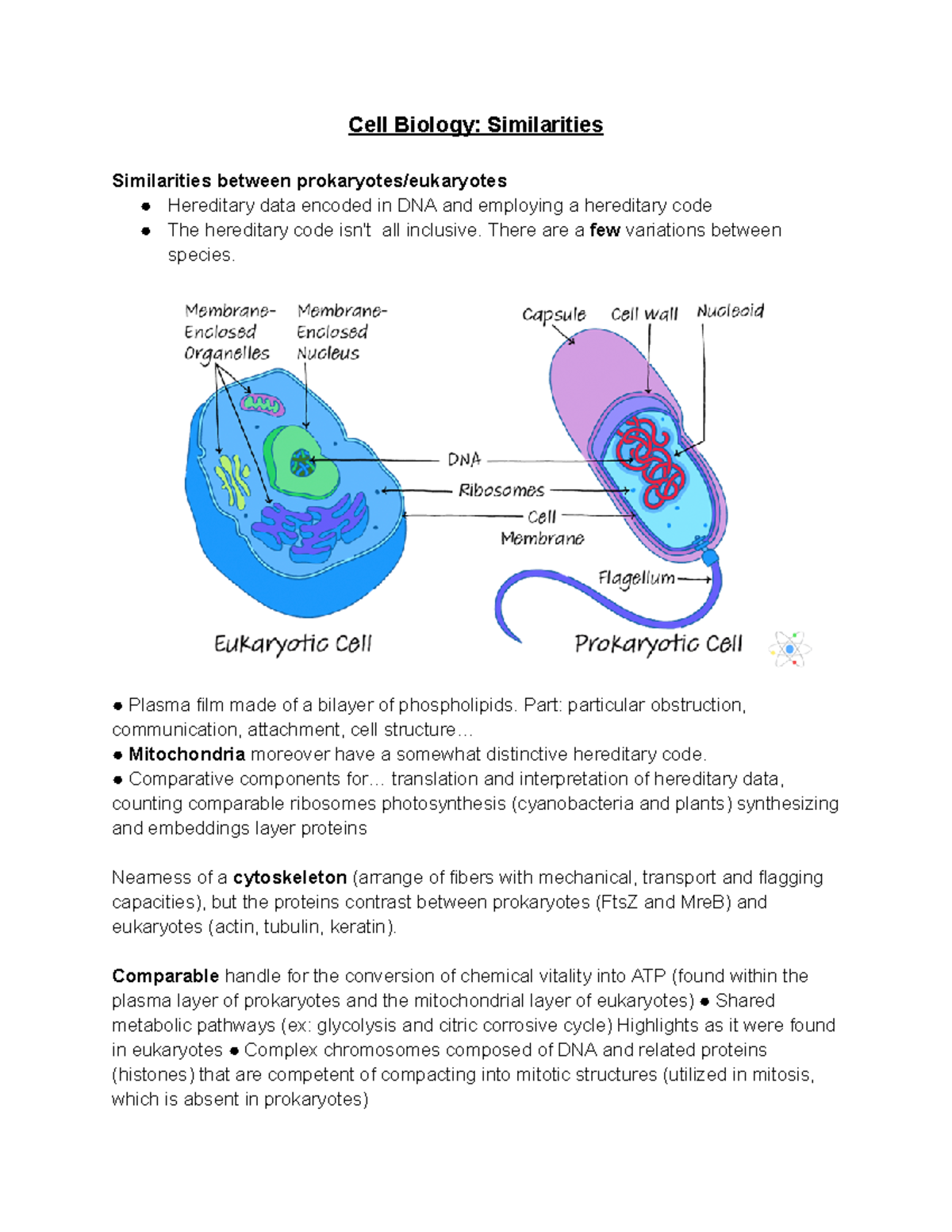 Cell Biology Similarities - Cell Biology: Similarities Similarities ...