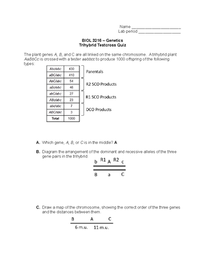 Lab 5 Linkage Mapping Worksheet - Linkage Mapping in Fruit Flies BIOL ...
