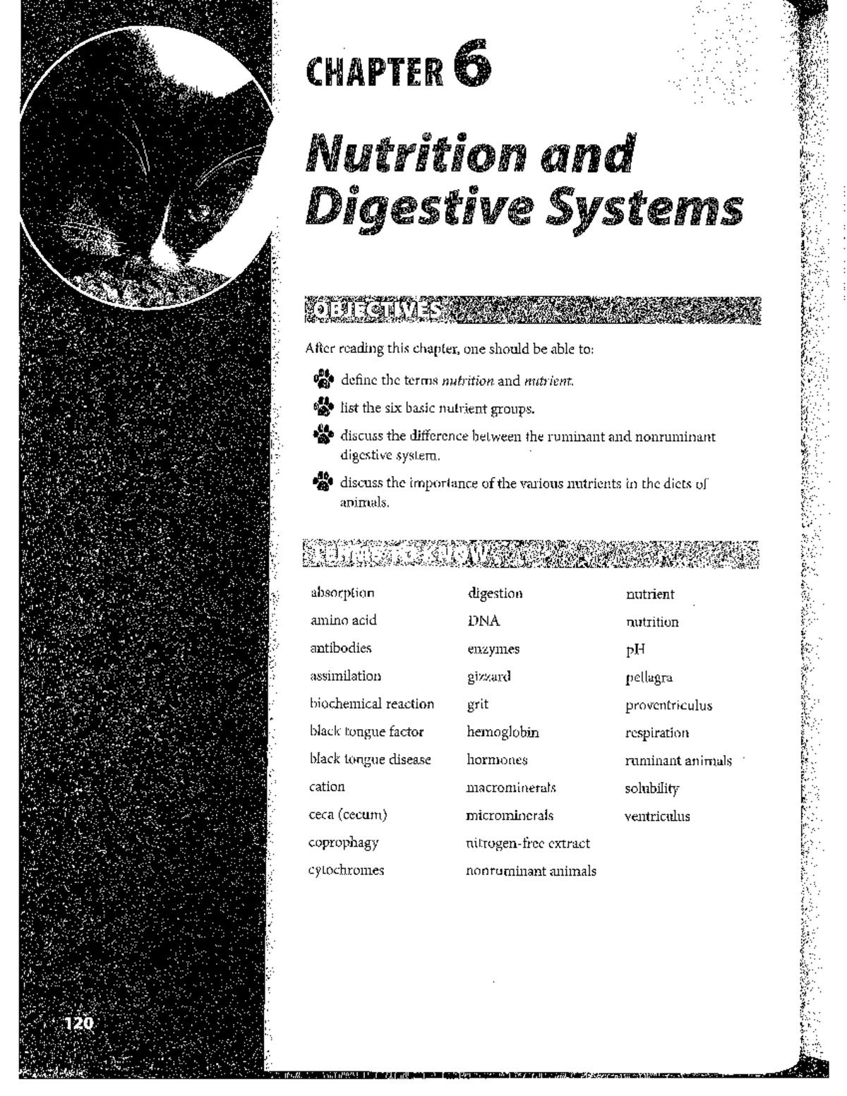 Ch-6, Nutrition n Digestive Systems - GOV 111 - Studocu
