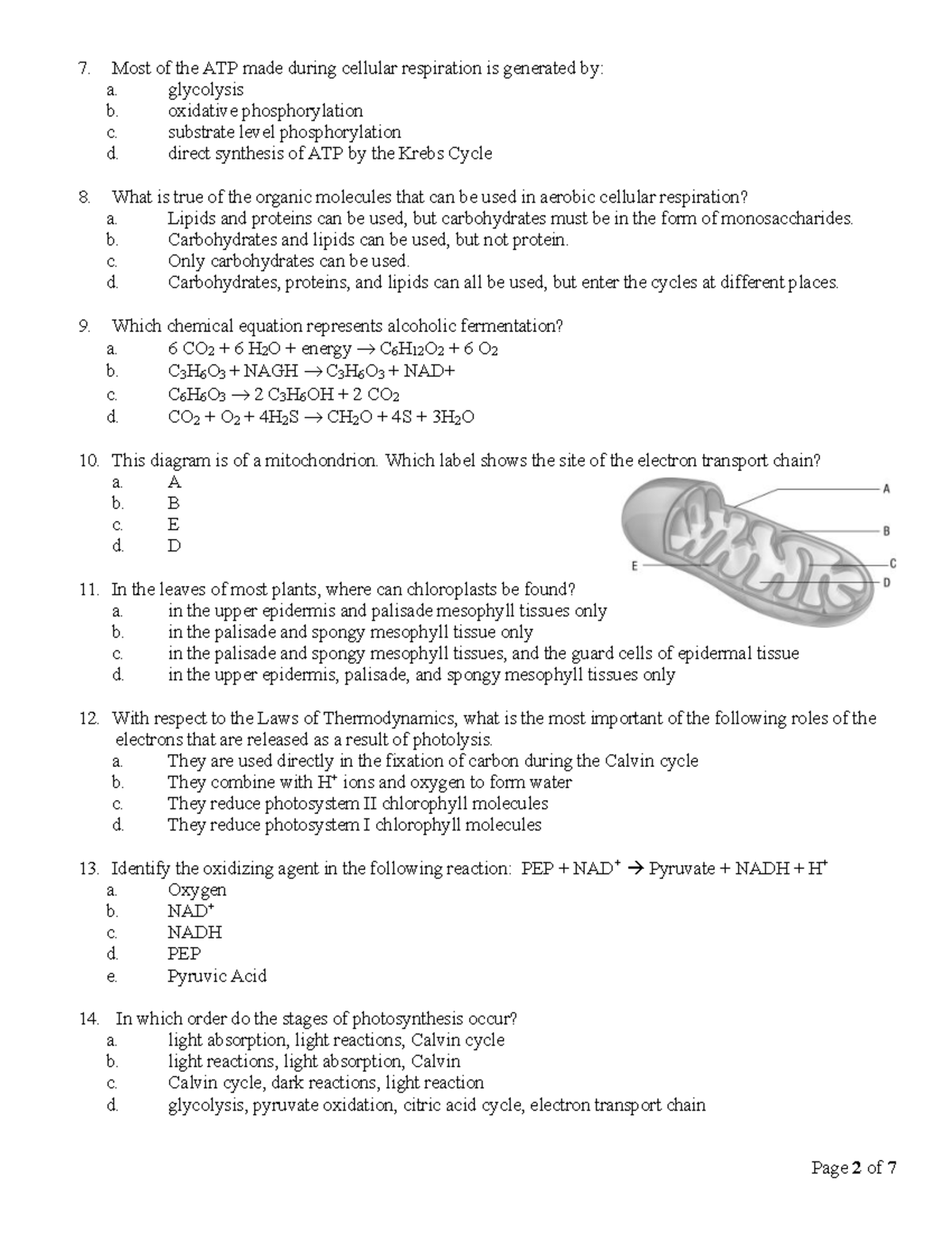 1648493886-SBI4U Test 2 v6 - 7. Most of the ATP made during cellular ...