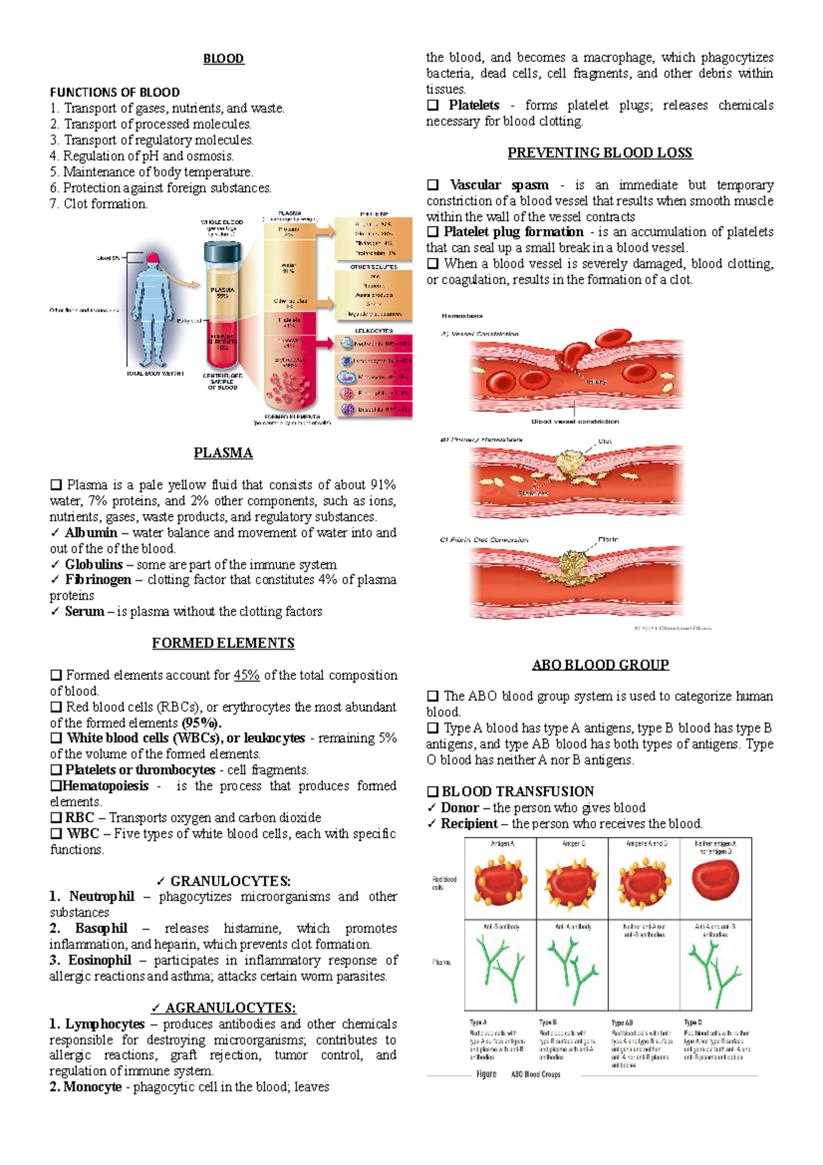 Blood - My personal note - BLOOD FUNCTIONS OF BLOOD Transport of gases ...