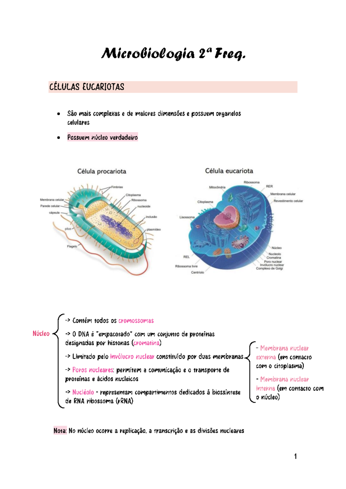 Microbiologia 2ª Freq - resumos - Microbiologia 2ª Freq. • • Função: º ...