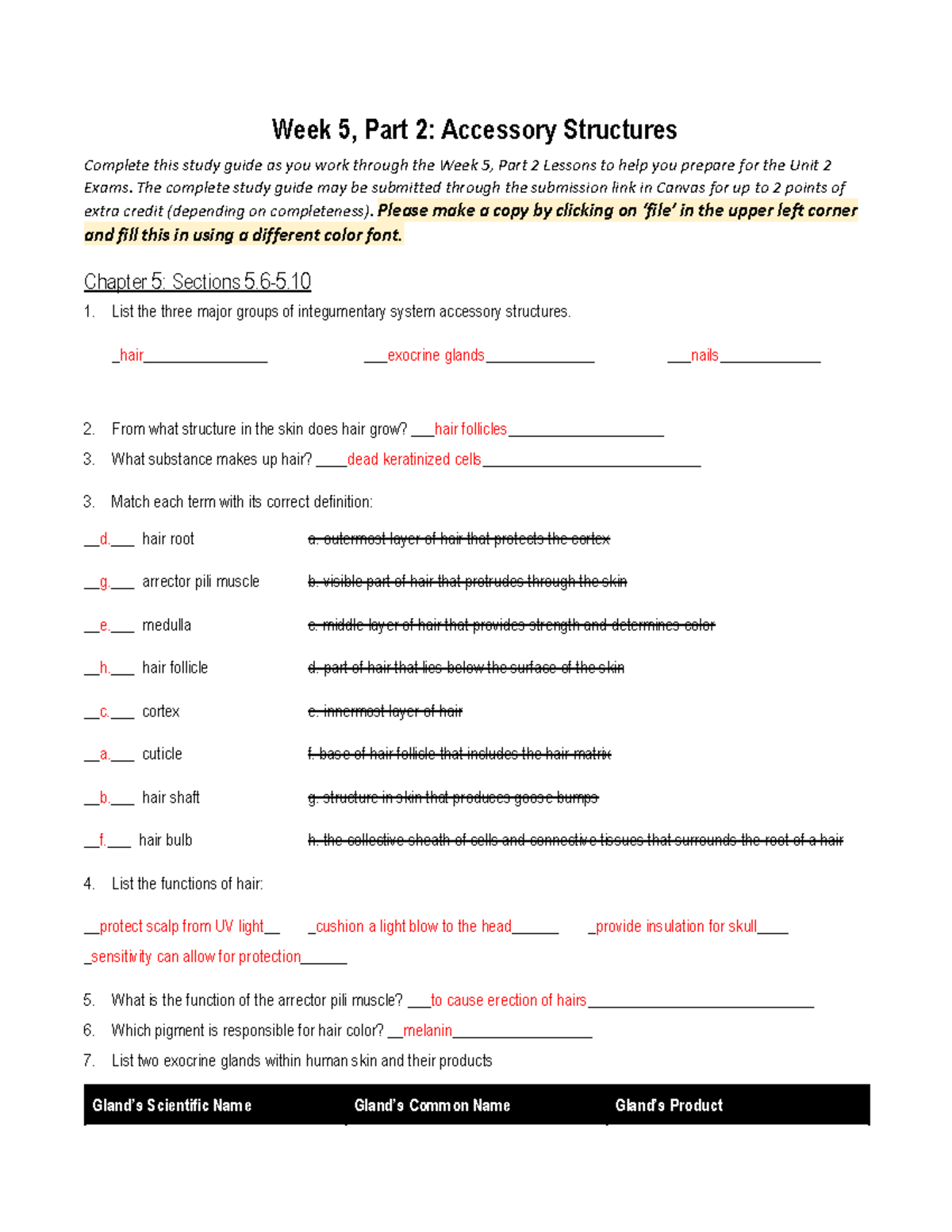 Copy of Copy of BIO 145 Week 5, Part 2 Accessory Structures - Week 5, Part 2: Accessory ...
