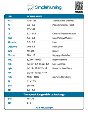 Combinepdf (11) - Infographic/diagram - Postpartum INITIAL ASSESSMENT ...