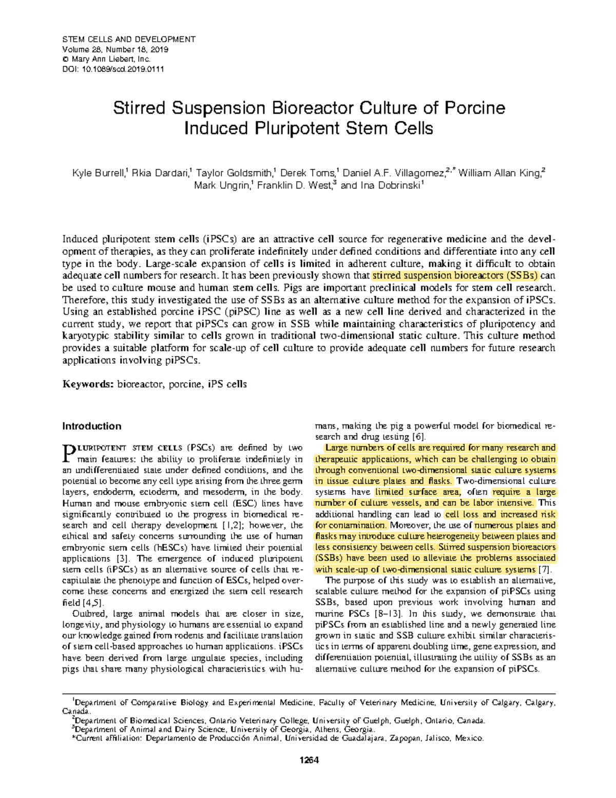 Stirred Suspension Bioreactor Culture of Porcine Induced Pluripotent ...