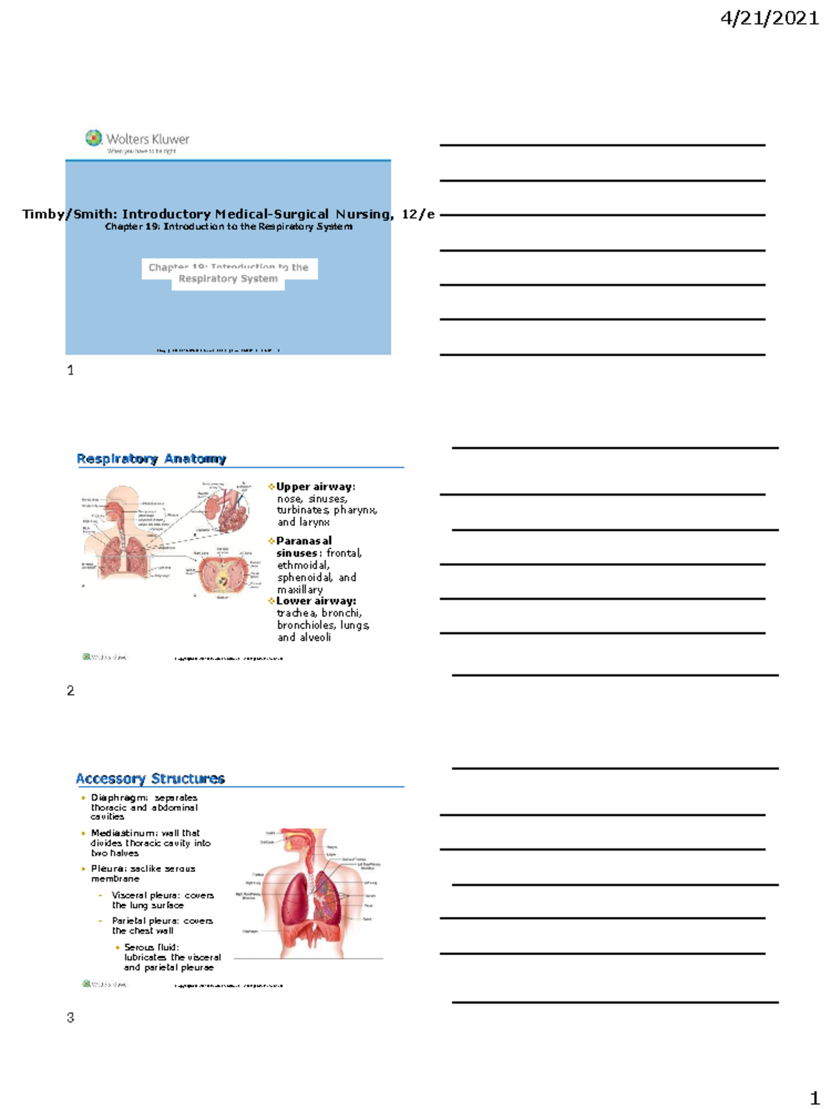 Chapter 19 Intro to respiratory system Student PP - Copyright © 2018 ...