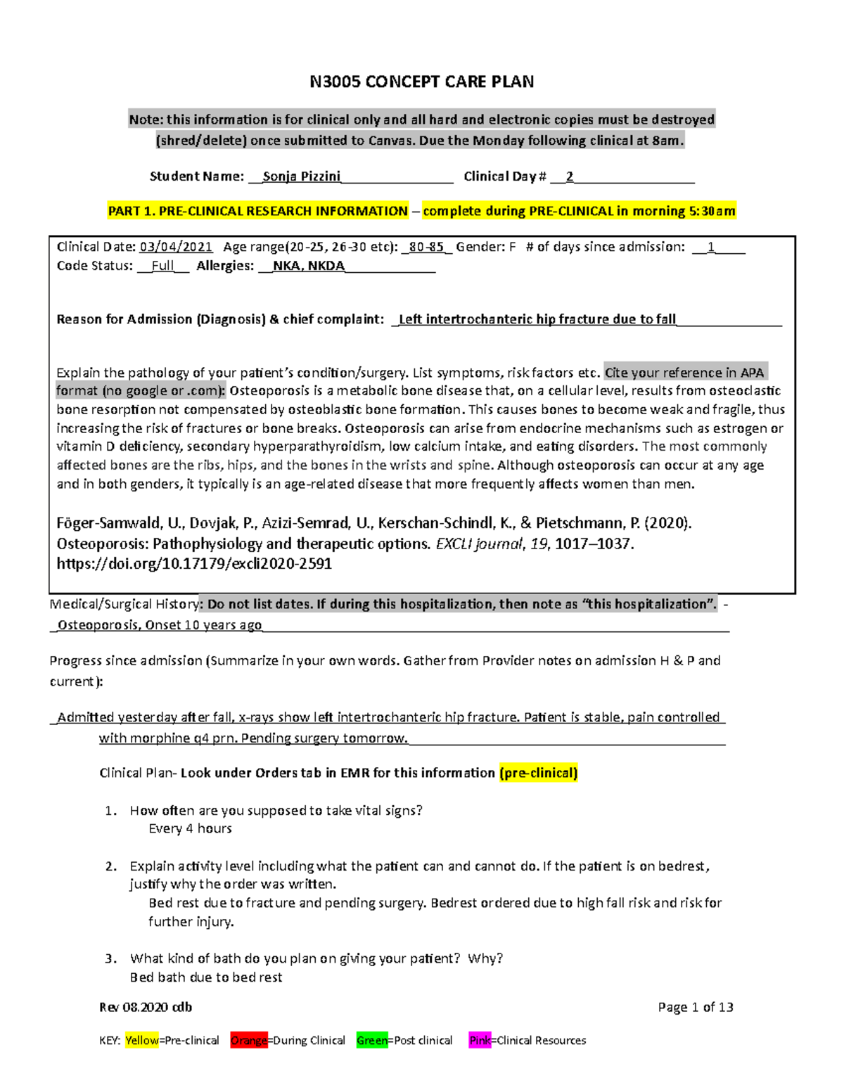 Edith Care Plan - Virtual Clinical Patient Care Plan - N3005 CONCEPT ...
