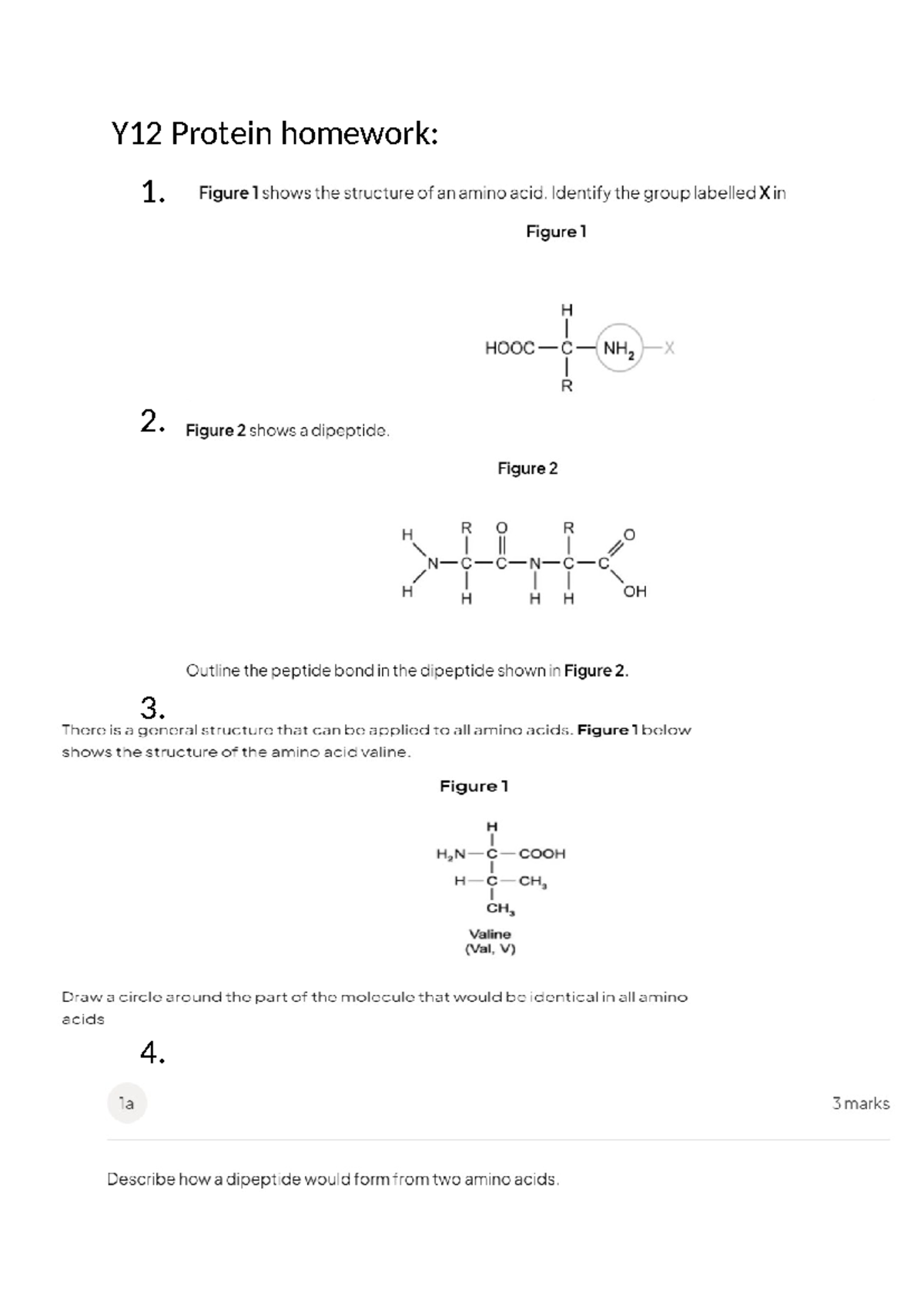 Y12 Protein homework - idk - Y12 Protein homework: 1. Figure 1 shows ...