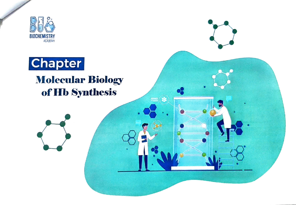 Molecular biology of Hb Synthesis. Omar - Biochemistry (3) - Studocu