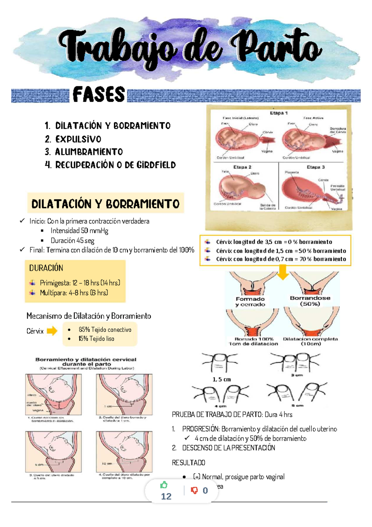 Trabajo-de-parto-apuntes-tema-7 compress - - Studocu
