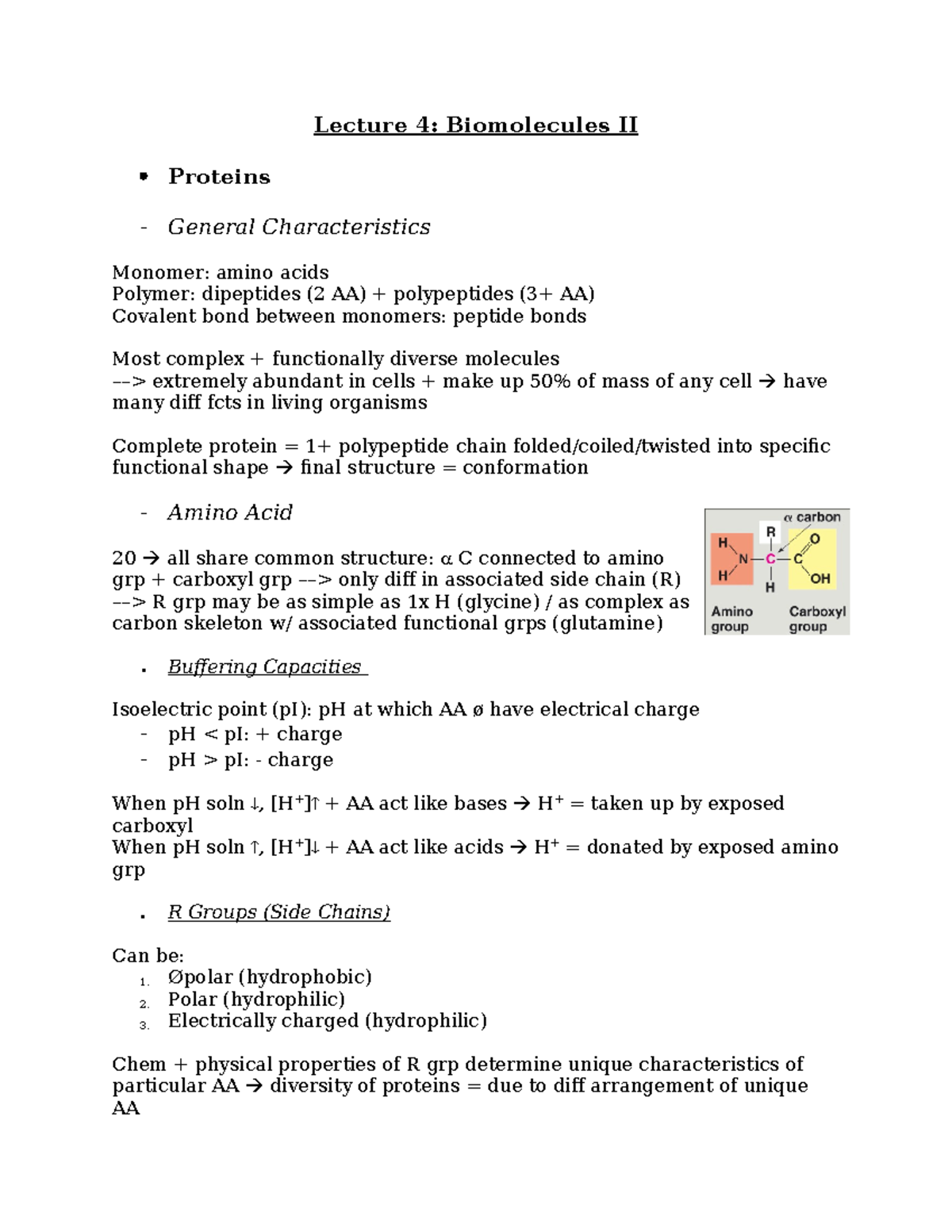 Lecture 4 - Biomolecules II Notes - Lecture 4: Biomolecules II Proteins ...
