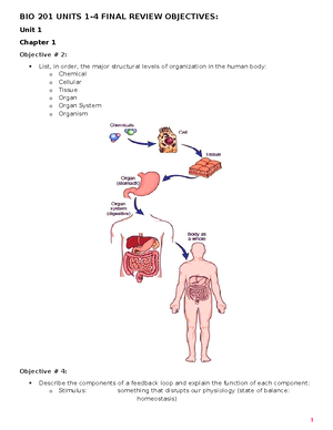 Pathos Sheets for Pediatrics on disease processes - Clinical Disorder ...