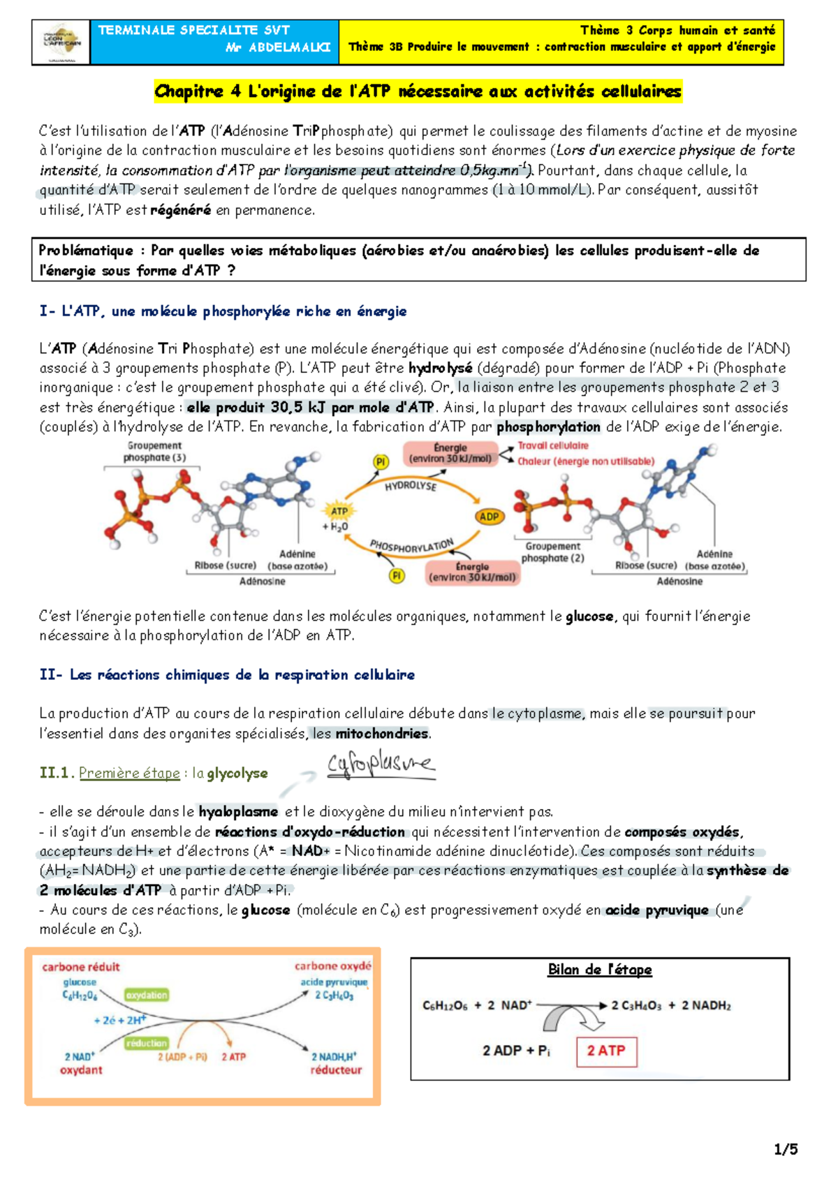 Chapitre 4- L'atp - & $ ! %# & %(& : &1E5. - Studocu
