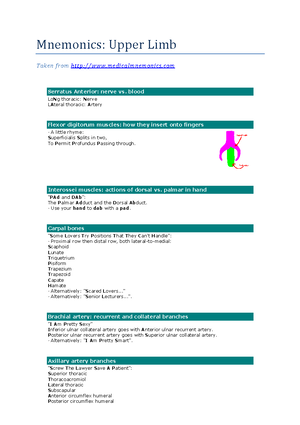 Mnemonics - Lower Limb - Mnemonics – Lower Limb Femoral triangle ...