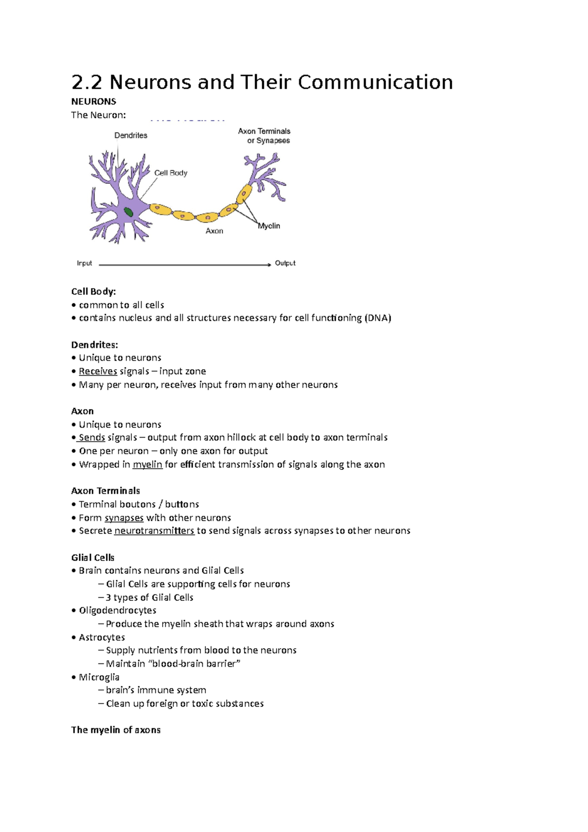 NEUR1020 Module 2 - 2 Neurons and Their Communication NEURONS The ...