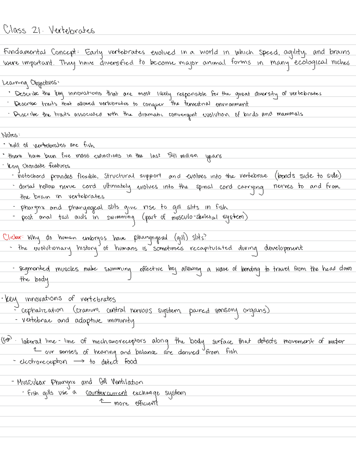 Class 21- Vertebrates - Class 21:Vertebrates fundamental Concept ...