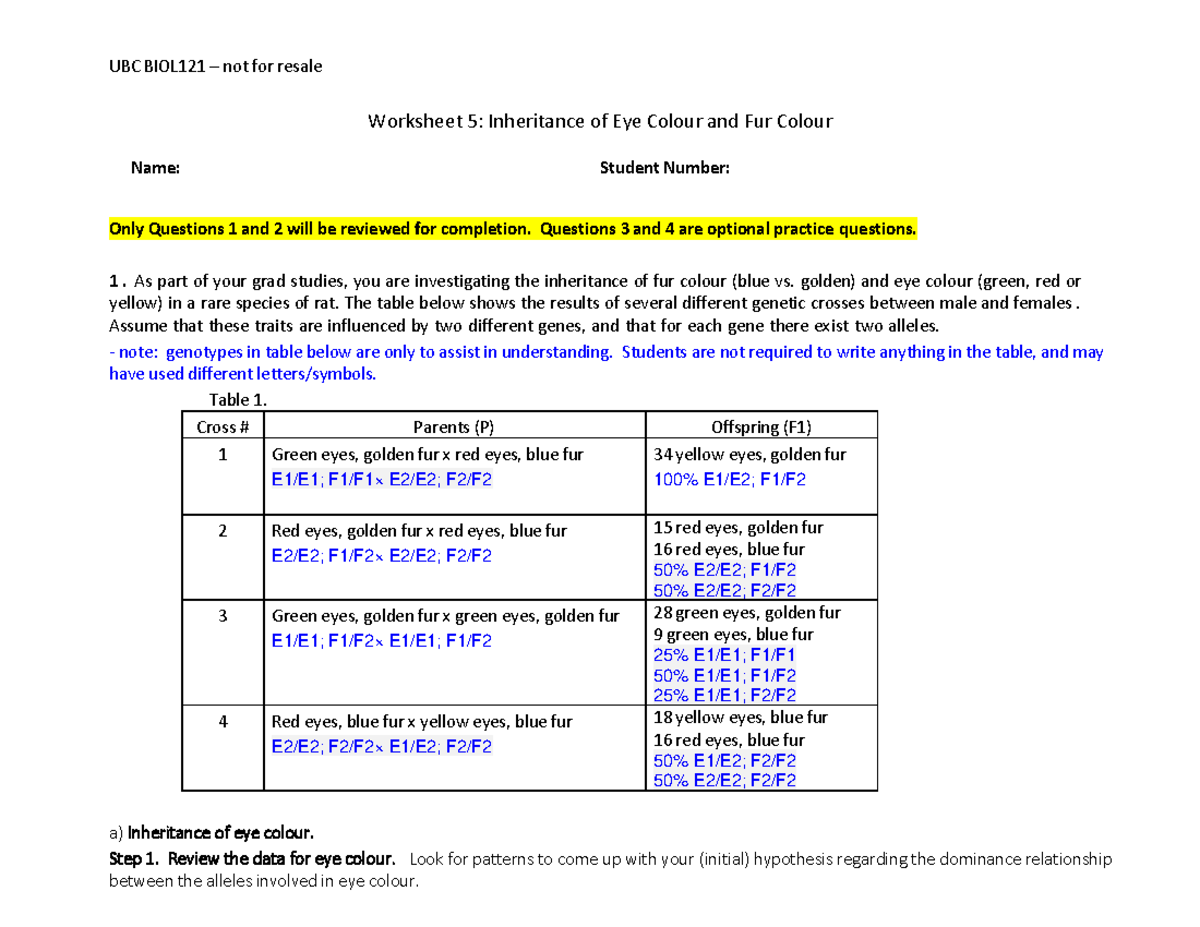 Worksheet #4 - Inheritance of Traits Eye Colour and Fur Colour - Answer ...
