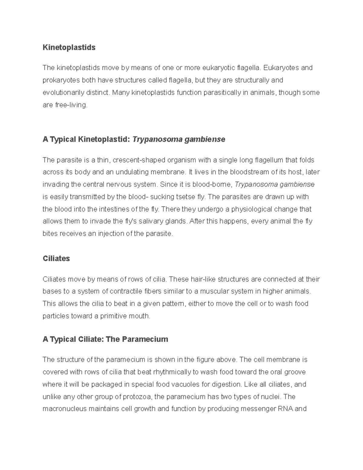 Kinetoblastids - notes - Kinetoplastids The kinetoplastids move by ...