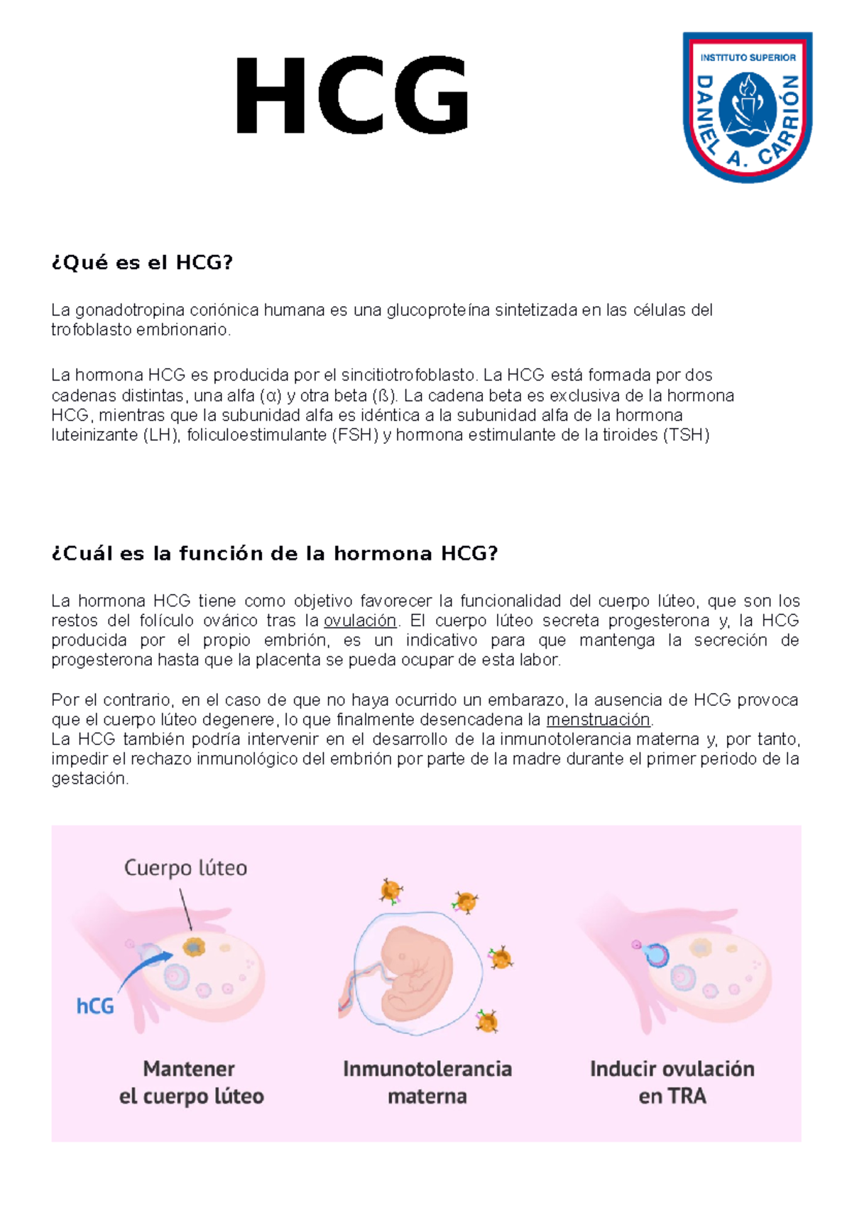Qué es el HCG - Resumen del HCG - ¿Qué es el HCG? La gonadotropina coriónica humana es una - Studocu