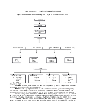 1 Cap 1 Fise de lucru Economia Intreprinderii clasa IX - Economie - Studocu