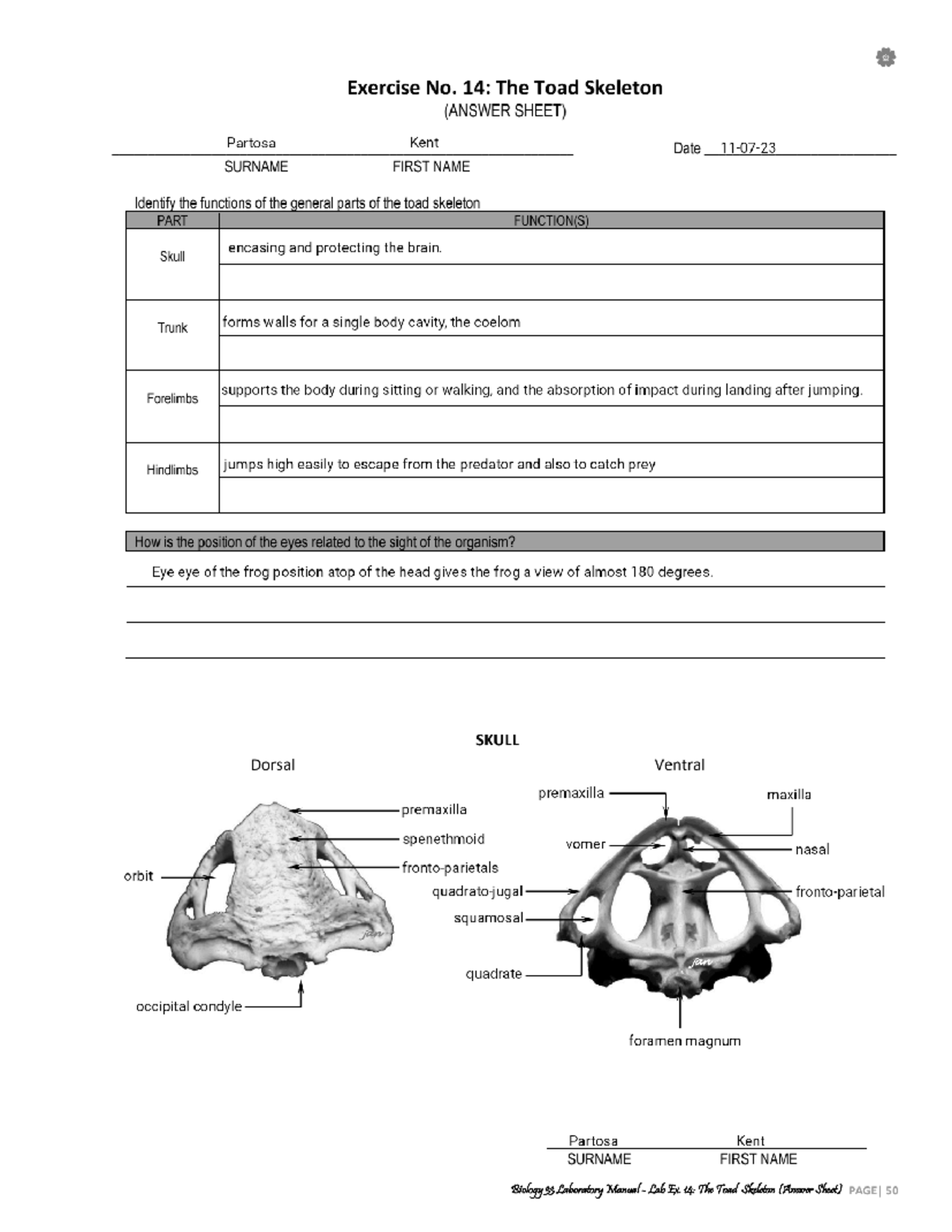 014B Toad Skeleton Answer Sheet - zoology - Studocu