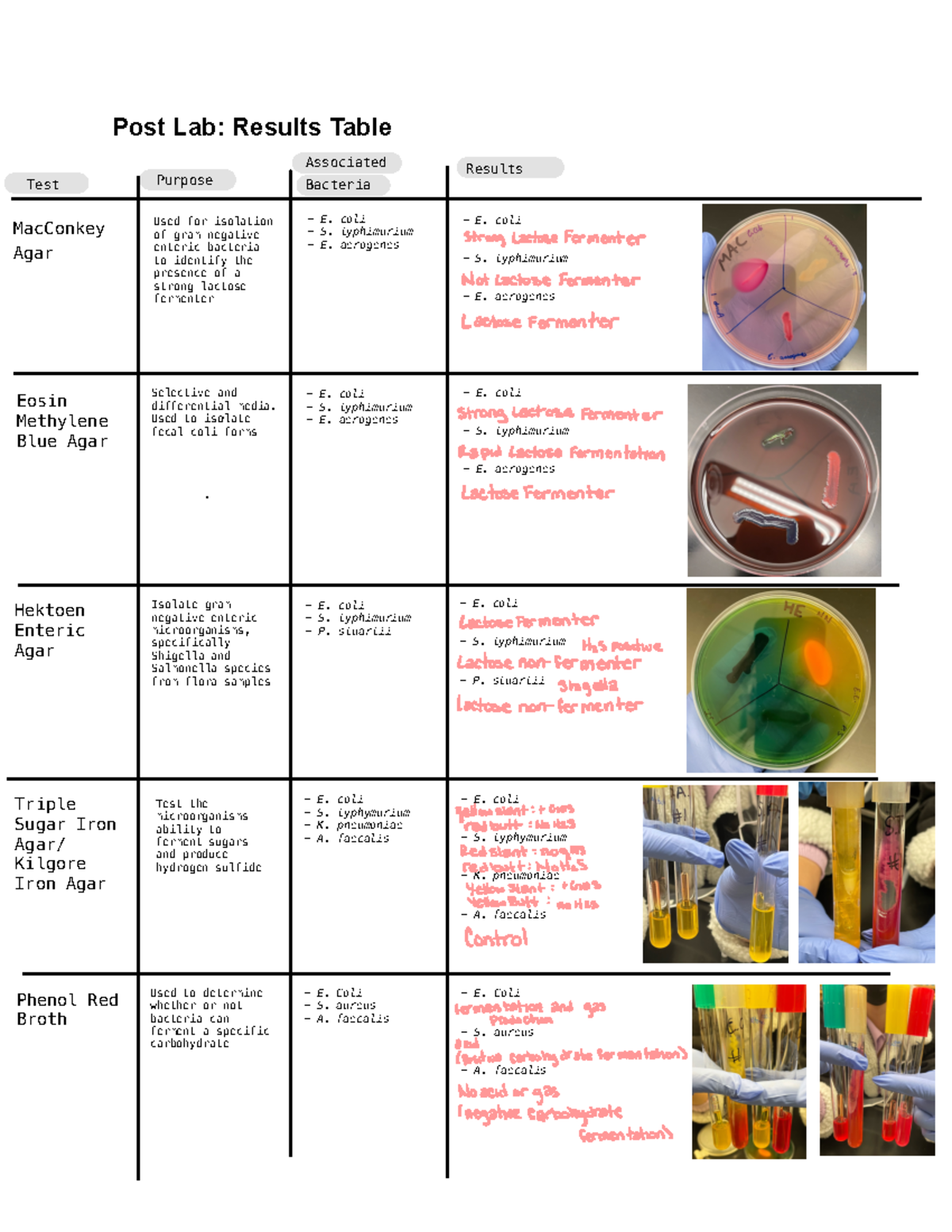 Micro Bio Lab Week 7 - Summary and Post Lab - Post Lab: Results Table ...