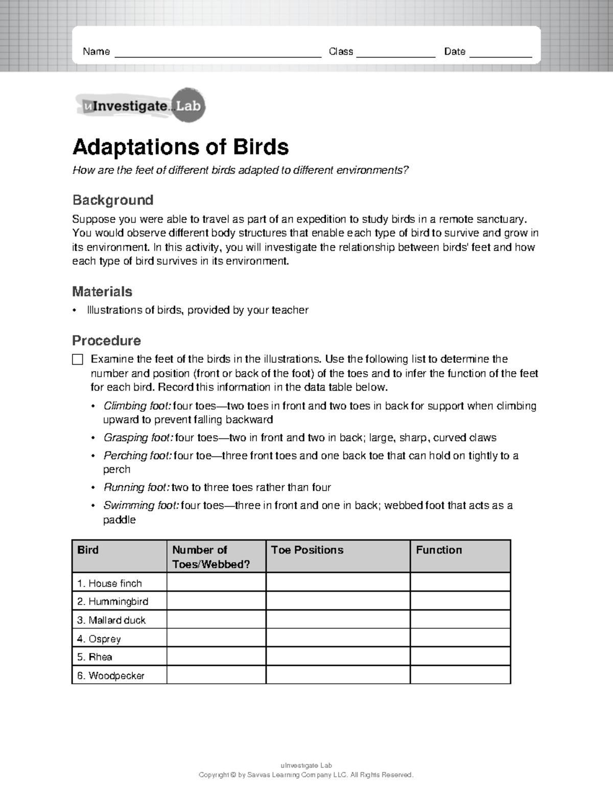 Life Science: Adaptation of Birds 1323123 132131231231232131312 ...