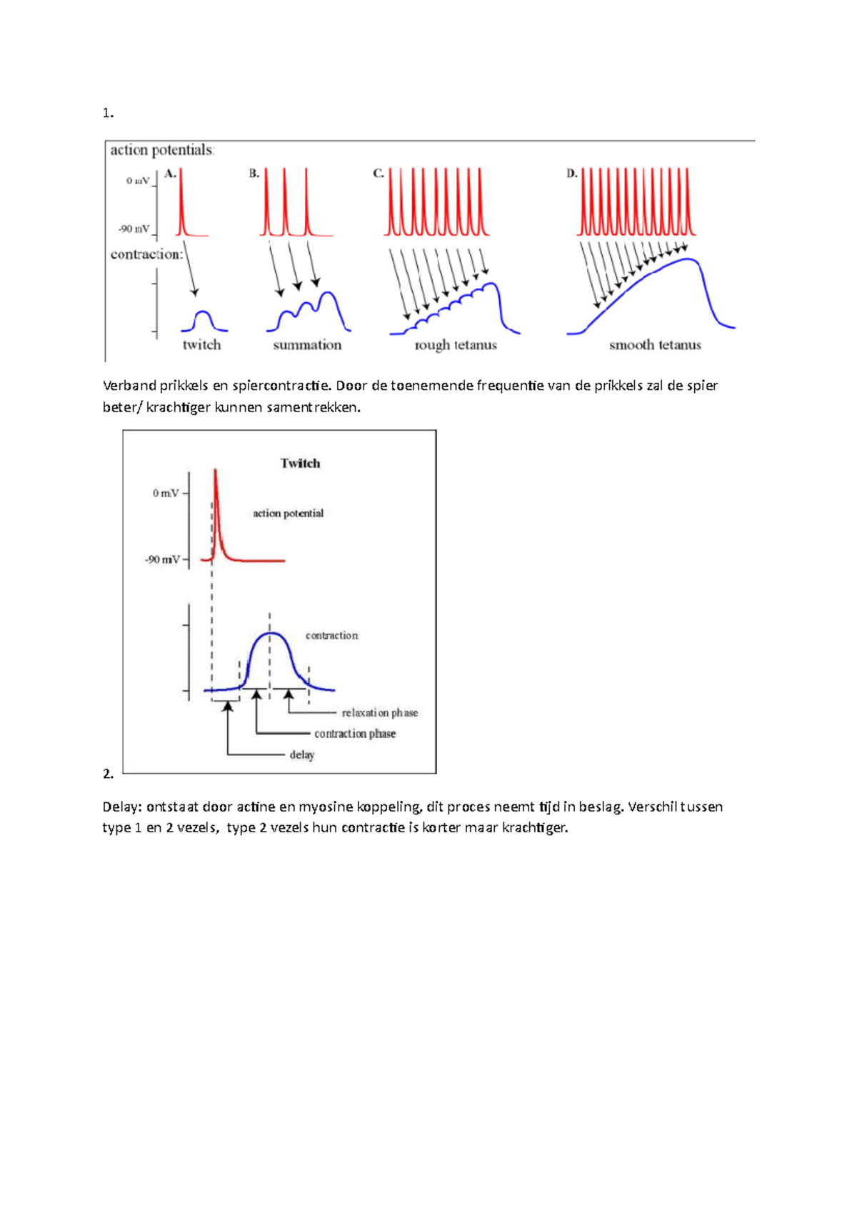 Zelfstudie-opdracht-Spiercontractiemechanisme - 1. Verband prikkels en ...