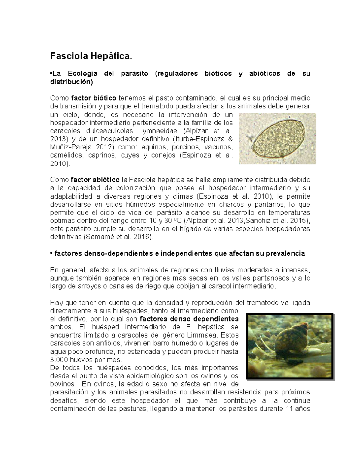 PIA. Fasciola Hepatica. - Fasciola Hepática. •La Ecología del parásito (reguladores bióticos y ...