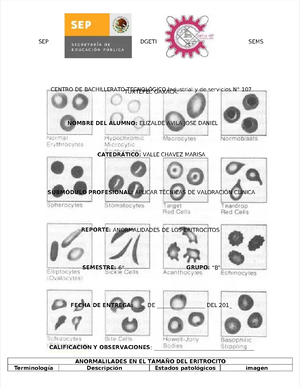 Citometría Hemática - CITOMETRIA HEMATICA - Es el primer examen en el ...