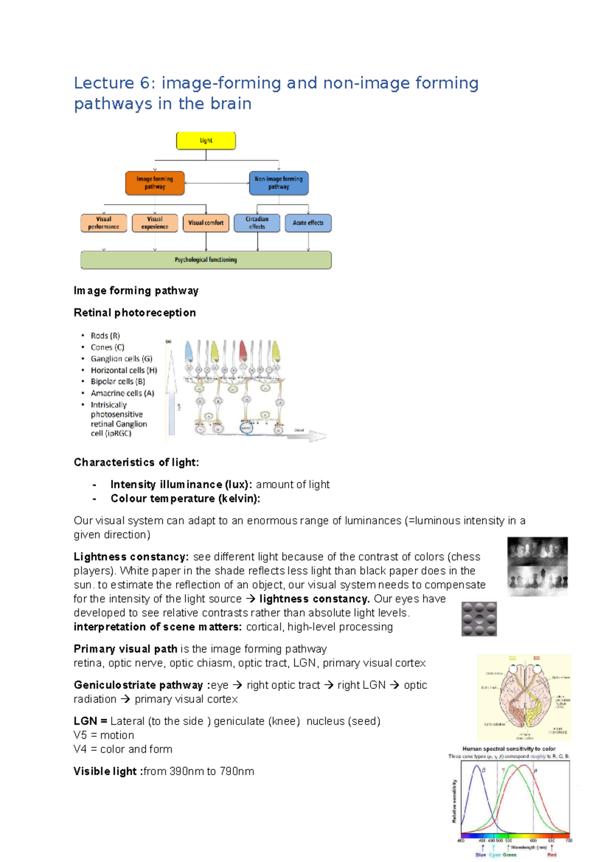 0HEUA0 summary lecture 6 slides - Lecture 6: image-forming and non ...