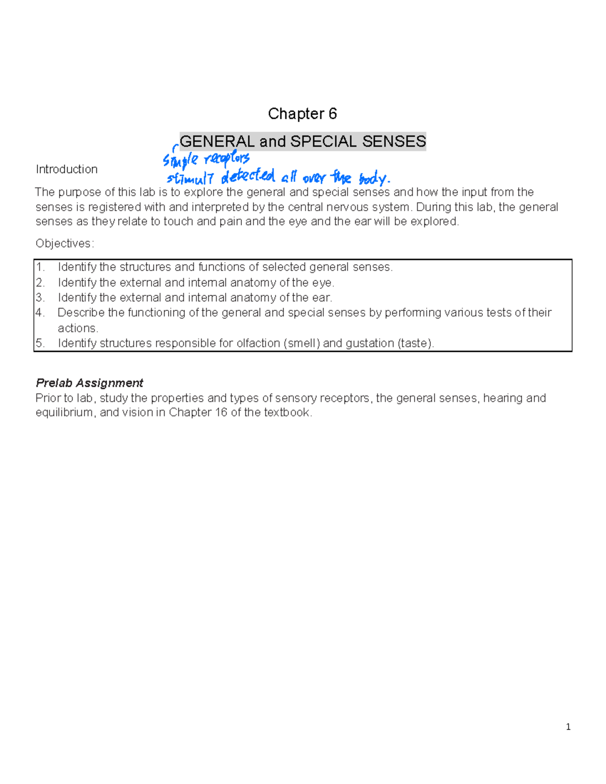 Chapter 6 General and Special Senses - Chapter 6 GENERAL and SPECIAL ...