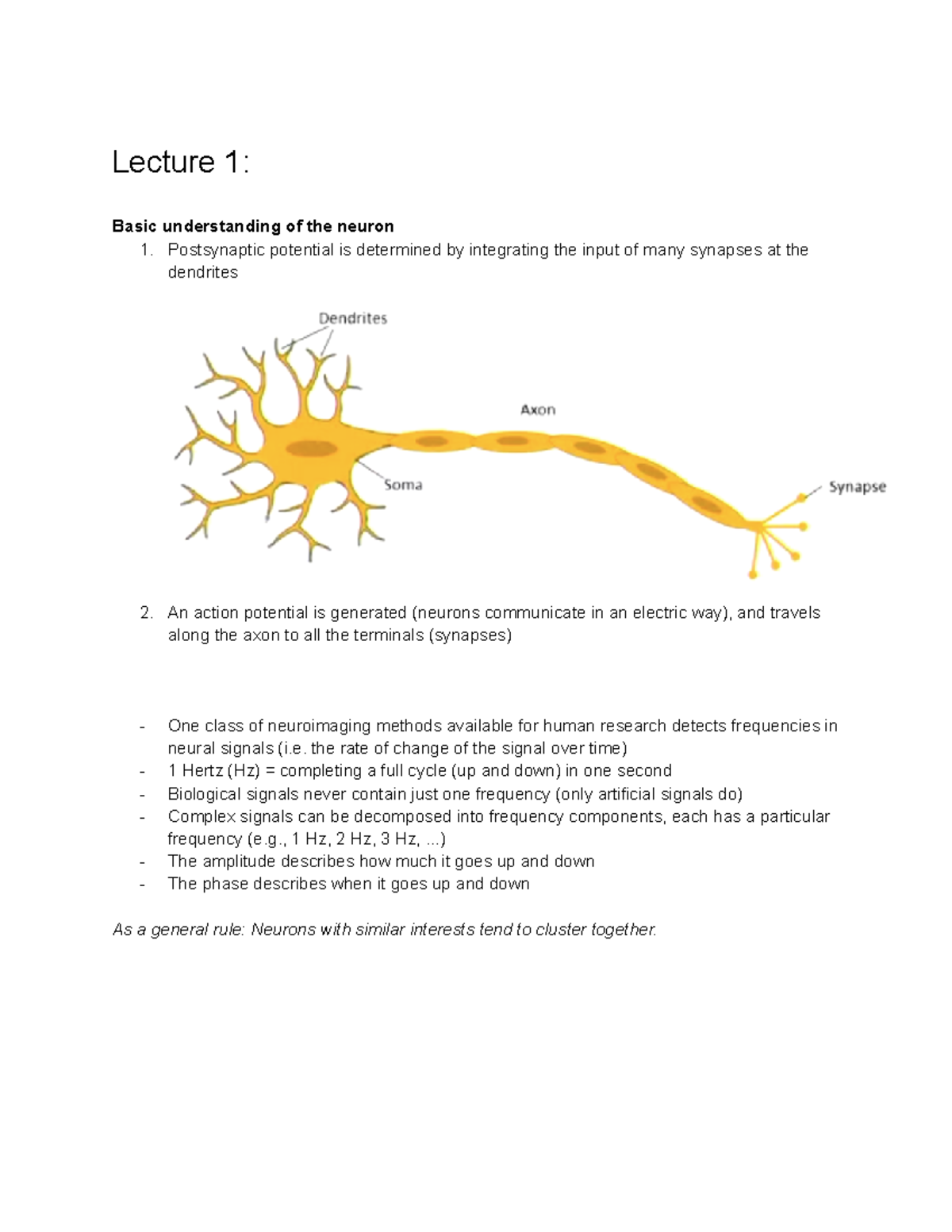Biological Psychology - Lecture 1: Basic understanding of the neuron 1 ...