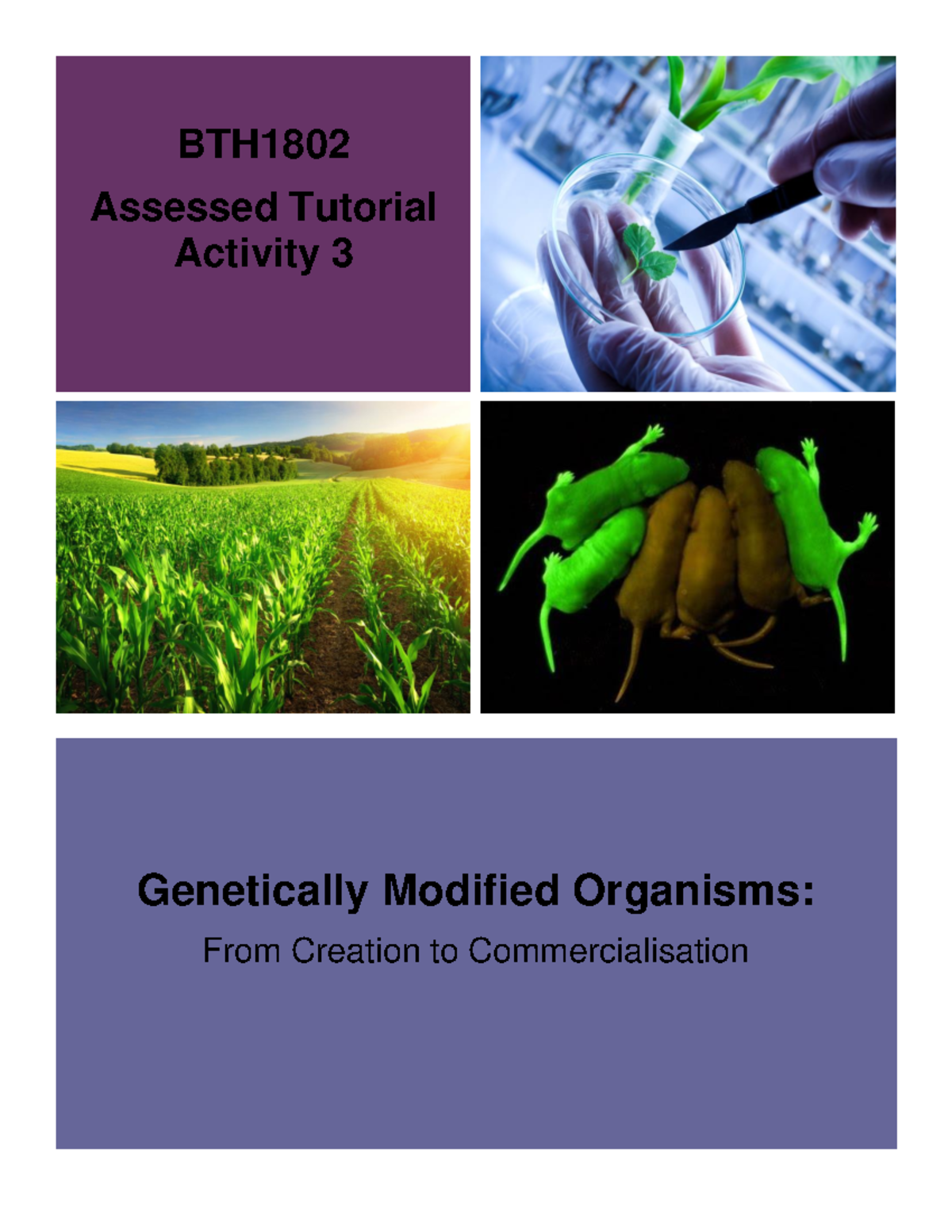 Assignment 3 - GMO Poster - BTH Assessed Tutorial Activity 3 ...