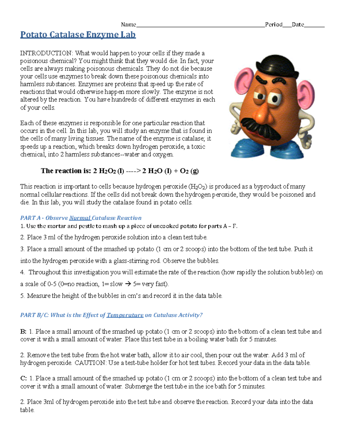 Potato Catalase Lab ud - good - - Studocu