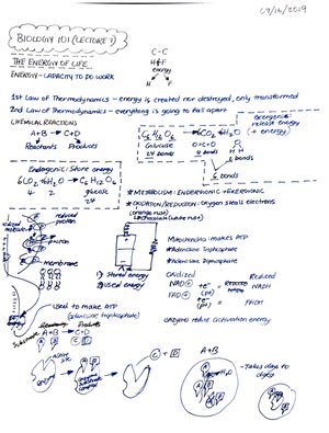 BIOL+415+Homework+One - BIOL 415 (Cell Biology) Homework 25pts total ...