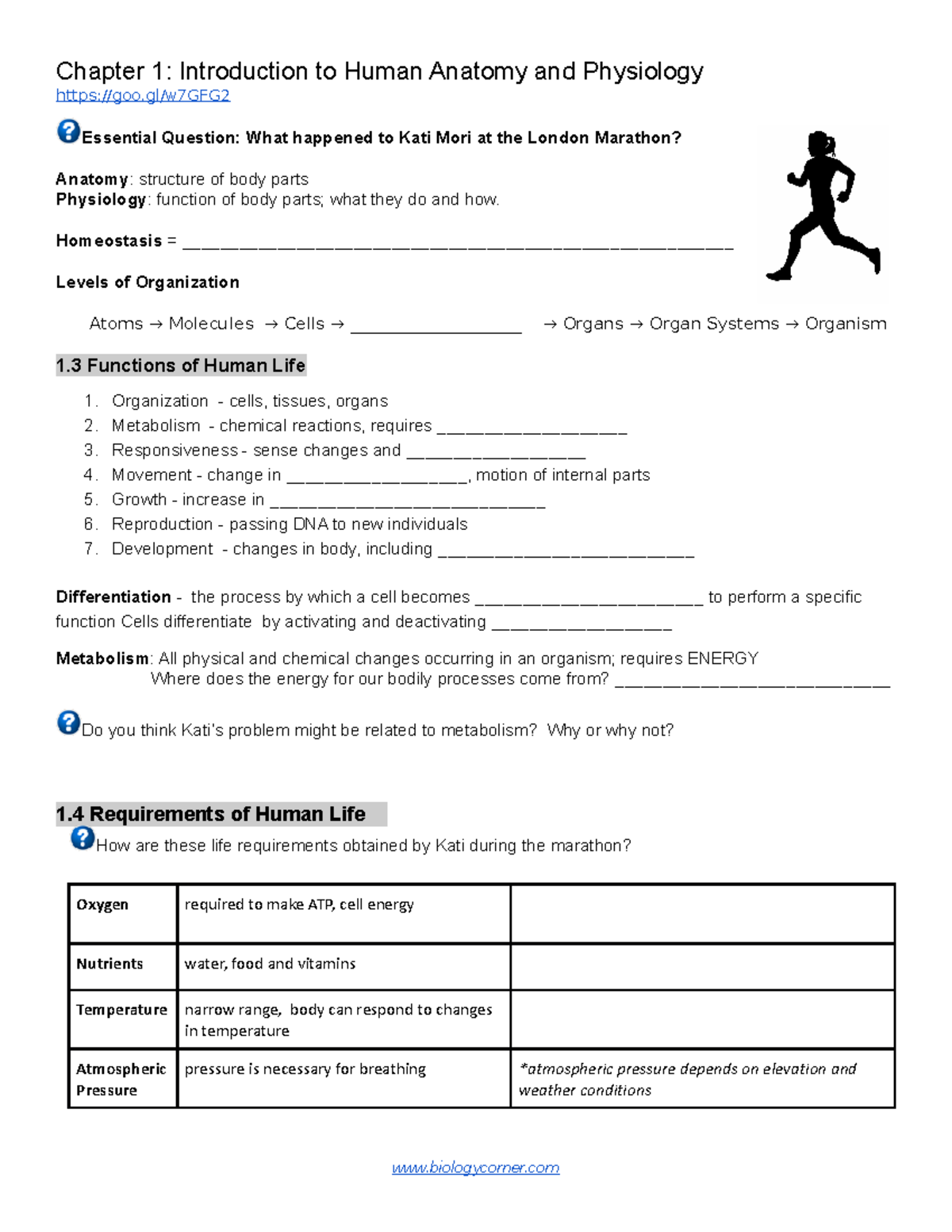 Ch. 1 Guided Notes (A&P) - Chapter 1: Introduction to Human Anatomy and ...