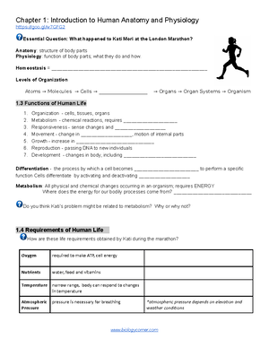 Anatomical Terminology Relative Position Interactive + - Anatomical ...